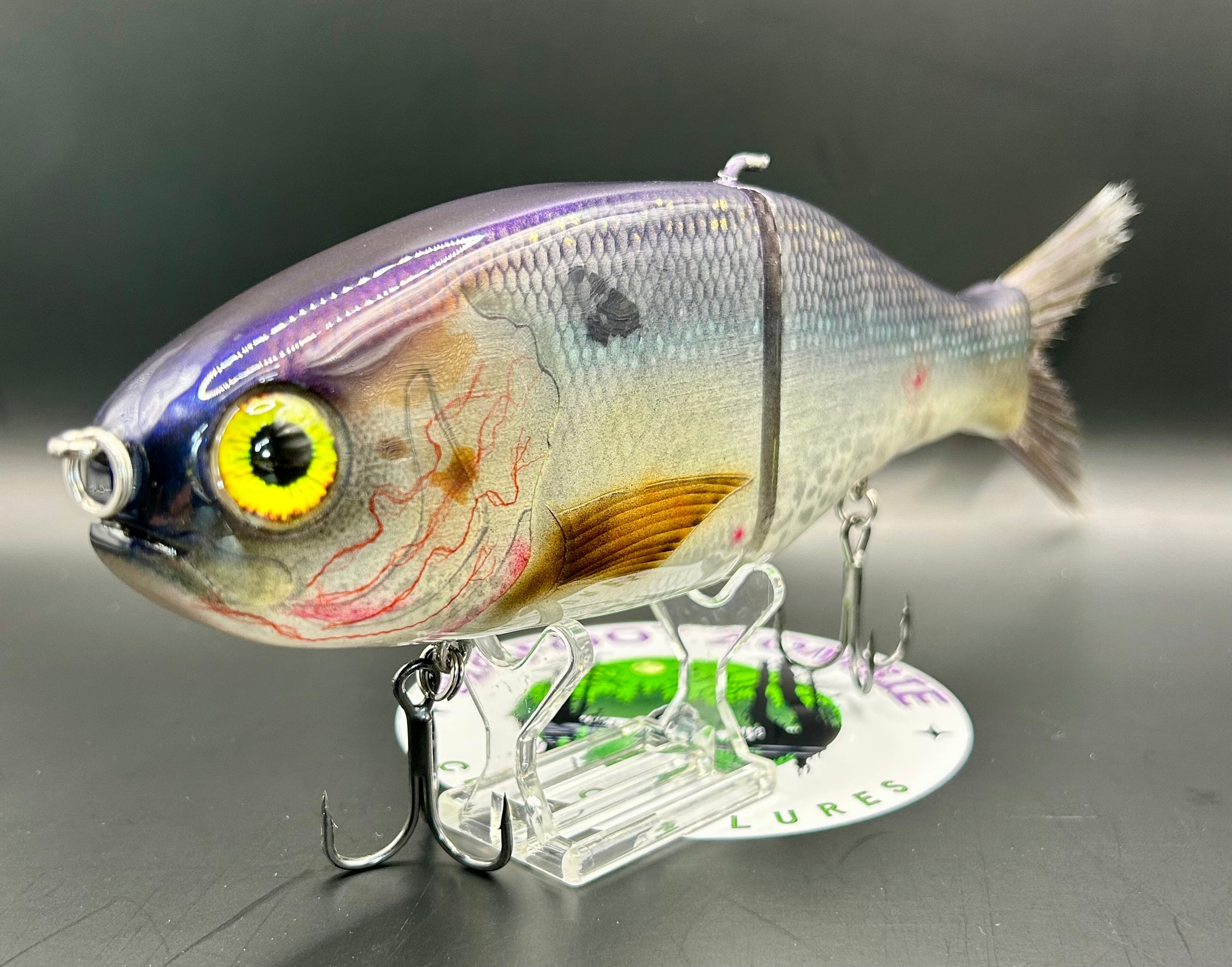 BZ Custom Baits – BigfootZombie Custom Lures